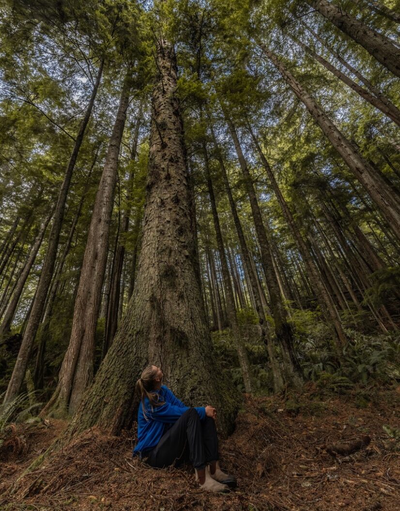 Farewell Harbour Lodge | 360° Immersion